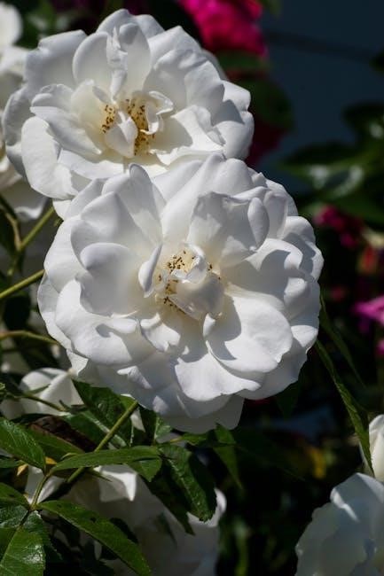 Download ASTM B633 PDF | Free Specification Guide